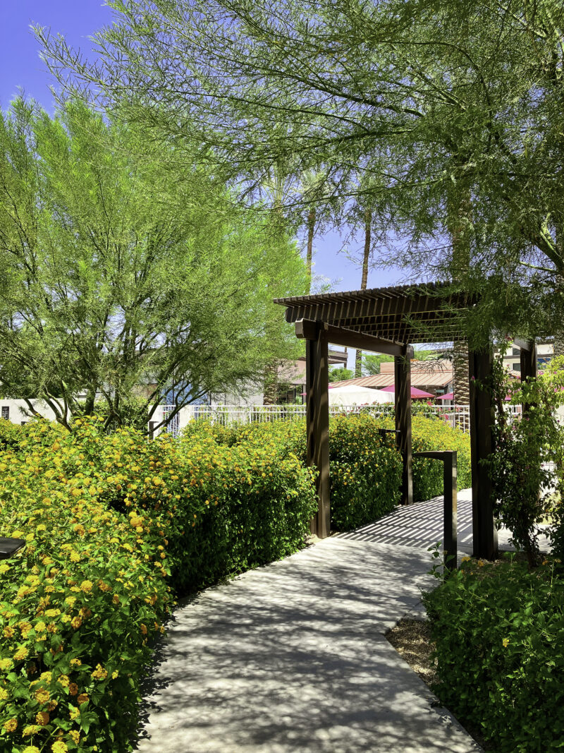 Gallery – The Paloma Resort